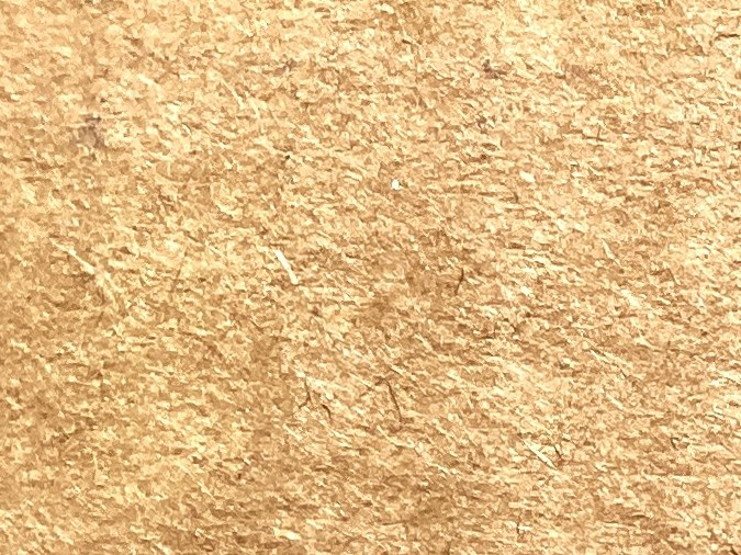 Guía completa para encontrar las mejores ofertas en el Amazon Prime Day - No Muy Caro